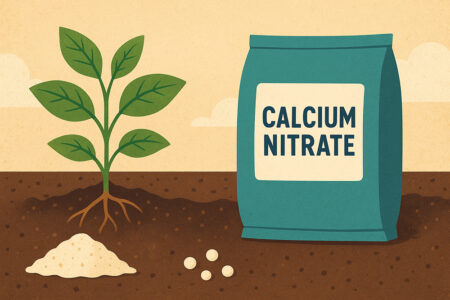 How to Detect, Analyze, and Treat Calcium Deficiency in Plants | Atlas ...