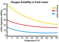 Dissolved Oxygen In Water: PPM For Fish | Atlas Scientific