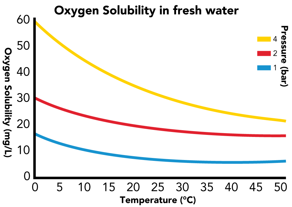 Dissolved Oxygen Graph
