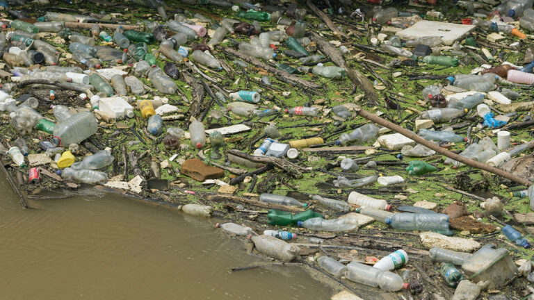 10 Solutions to Combat Water Pollution | Atlas Scientific