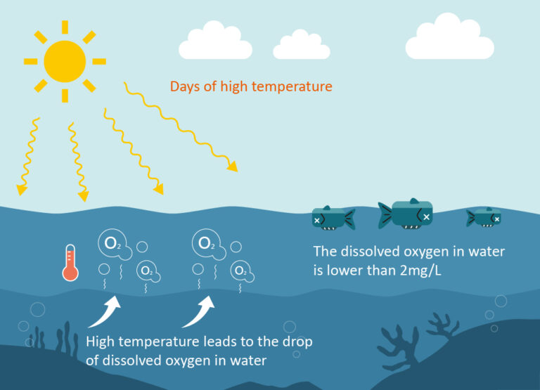 What Are The 6 Main Indicators Of Water Quality | Atlas Scientific