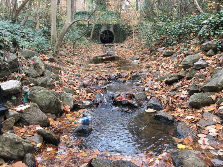 What Affects Dissolved Oxygen Levels In Water | Atlas Scientific
