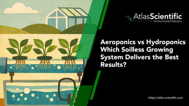 Aeroponics vs Hydroponics - Which Soilless Growing System Delivers The ...