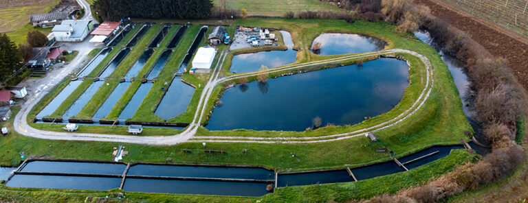4 Types Of Aquaculture Systems | Atlas Scientific