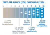 Dissolved Oxygen In Water: PPM For Fish | Atlas Scientific