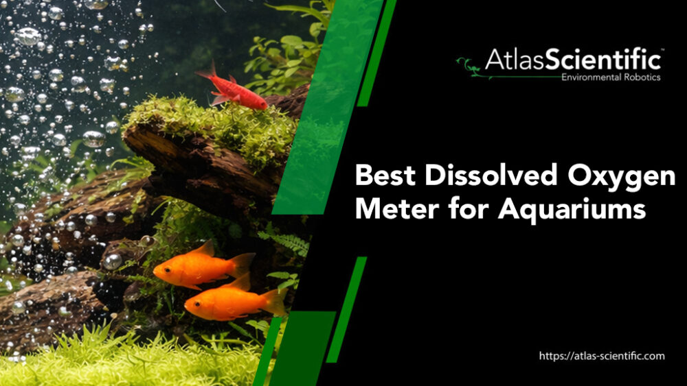 How Does Dissolved Oxygen Get Into Water? | Atlas Scientific