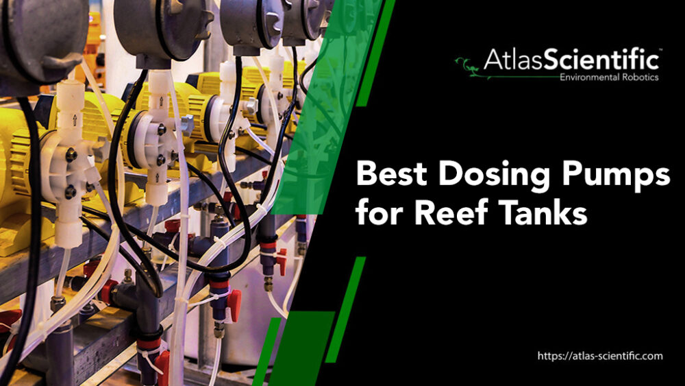 Best Dosing Pumps for Reef Tanks | Atlas Scientific