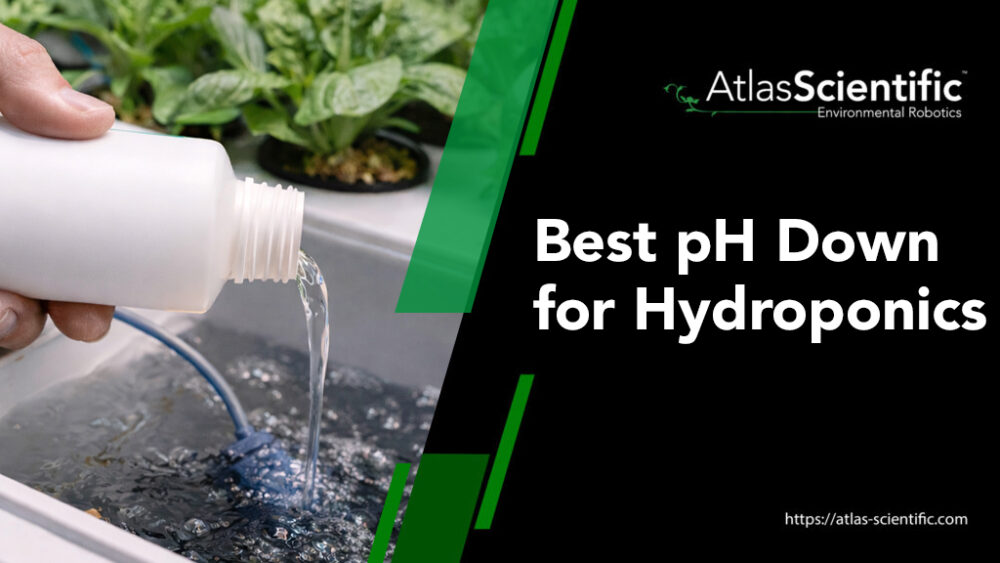Best pH Down for Hydroponics | Atlas Scientific