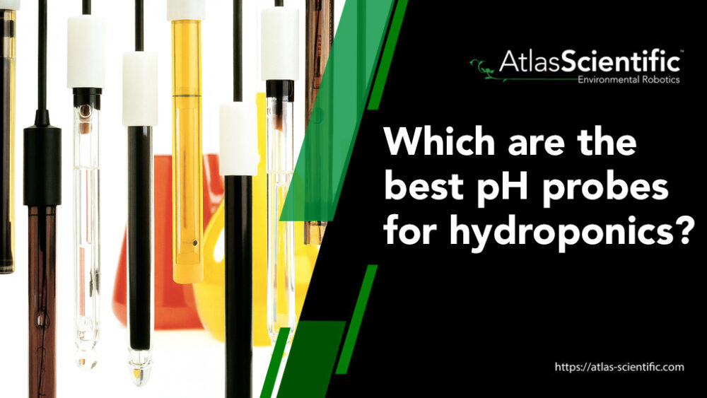 Best pH Probes For Hydroponics in 2025 - A Complete Buying Guide ...