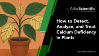 How to Detect, Analyze, and Treat Calcium Deficiency in Plants | Atlas ...