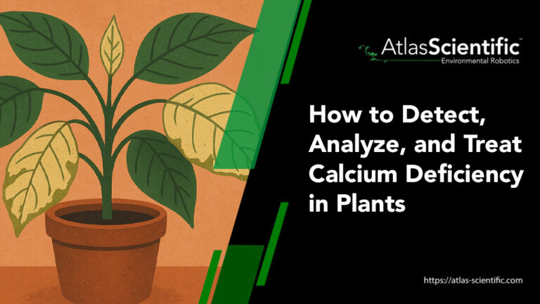 How to Detect, Analyze, and Treat Calcium Deficiency in Plants | Atlas ...