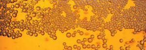 4 Methods of Capturing CO2 From Fermentation | Atlas Scientific