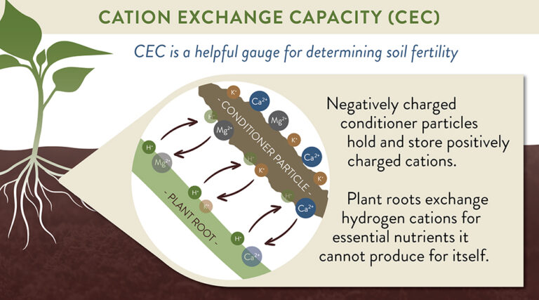 How To Decrease pH In Soil? | Atlas Scientific