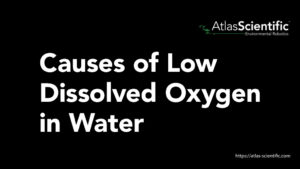 Causes Of Low Dissolved Oxygen In Water | Atlas Scientific