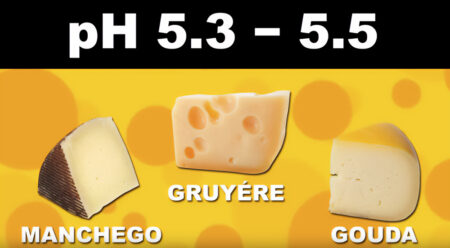 The Importance Of Measuring The pH Of Cheese | Atlas Scientific