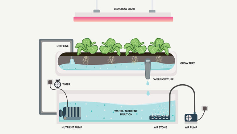 Unearthing The Benefits Of Hydroponics | Atlas Scientific