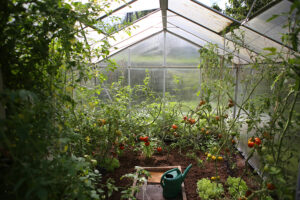 Ideal Greenhouse Temperature And Humidity | Atlas Scientific