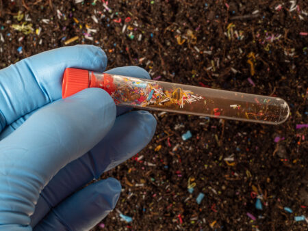 A Complete Guide To Soil Pollution: Causes, Effects, And Solutions ...