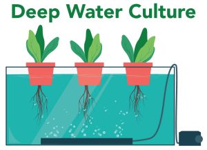 6 Types Of Hydroponics Systems Explained | Atlas Scientific