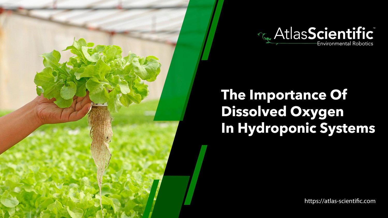 What Is The Winkler Method For Dissolved Oxygen? | Atlas Scientific What Is The Winkler Method For Dissolved Oxygen? | Atlas Scientific