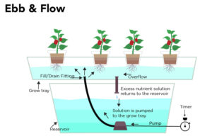 The 6 Basic Hydroponic Systems - Which One To Use? | Atlas Scientific
