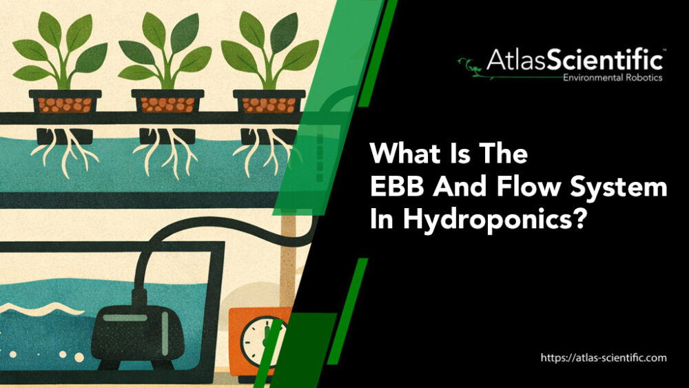 What Is The EBB And Flow System In Hydroponics? | Atlas Scientific