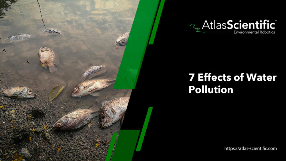 7 Effects Of Water Pollution | Atlas Scientific
