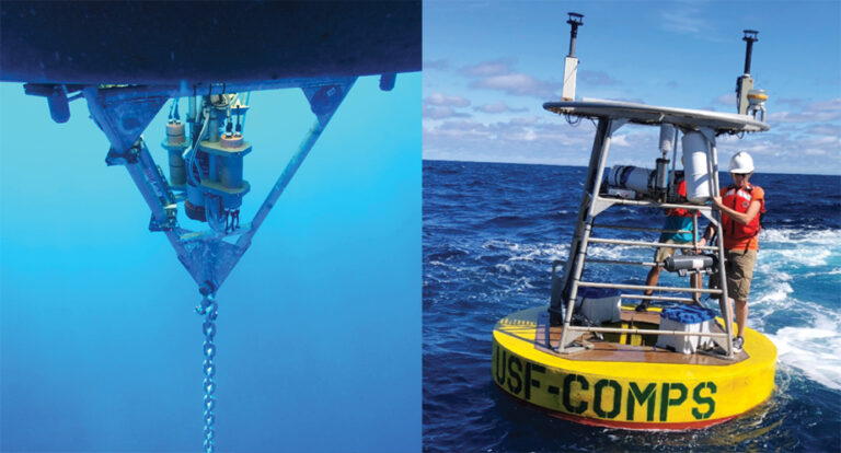 What Are Water Quality Monitoring Buoys? | Atlas Scientific