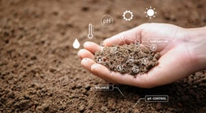 The Importance Of Measuring pH Of Grapes When Harvesting | Atlas Scientific