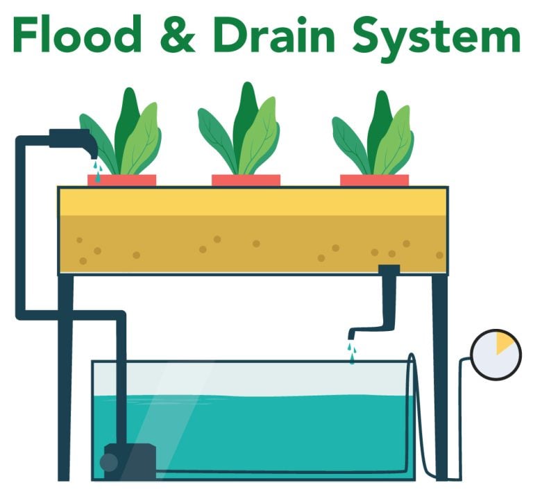 6 Types Of Hydroponics Systems Explained | Atlas Scientific