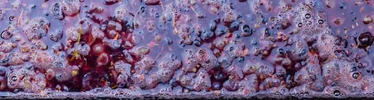 The Ultimate Guide To The Fermentation Process | Atlas Scientific