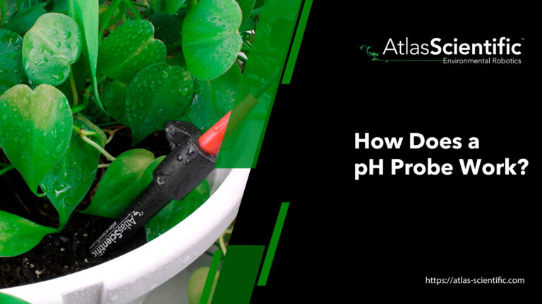 How Does A pH Probe Work? | Atlas Scientific