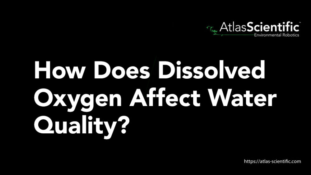 How Does Dissolved Oxygen Affect Water Quality? | Atlas Scientific