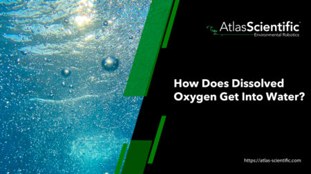 How Does Dissolved Oxygen Get Into Water? | Atlas Scientific
