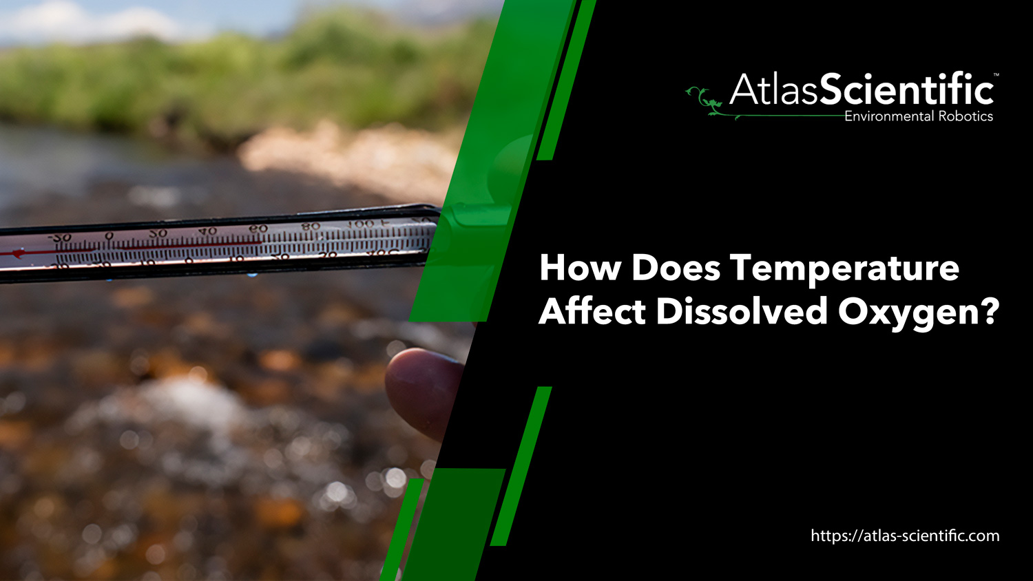 How Does Temperature Affect Dissolved Oxygen? | Atlas Scientific