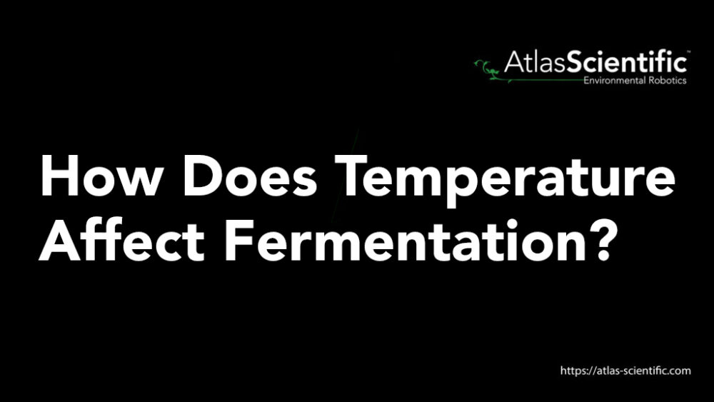How Does Temperature Affect Fermentation? | Atlas Scientific