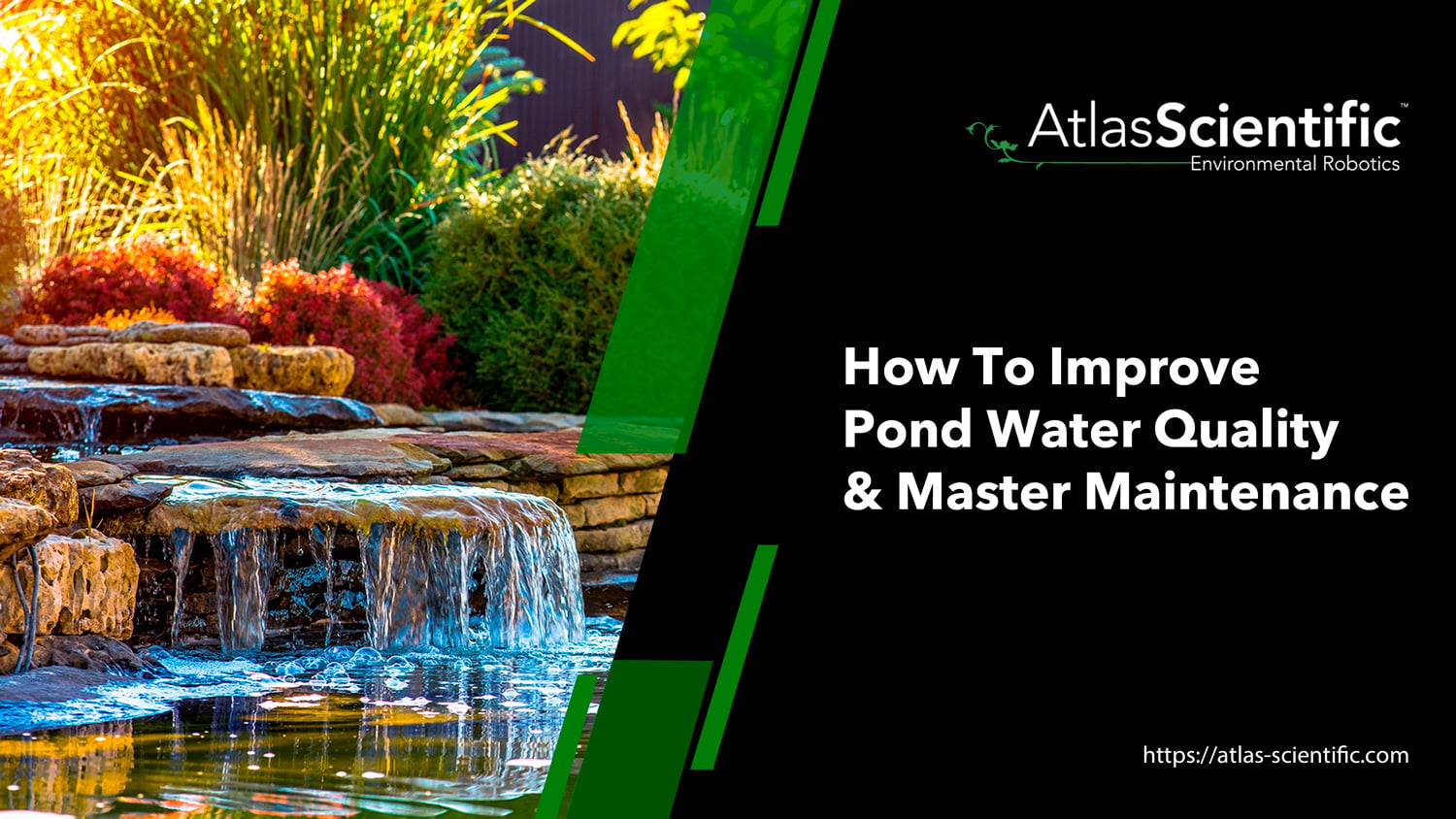 How To Improve Pond Water Quality & Master Maintenance | Atlas Scientific