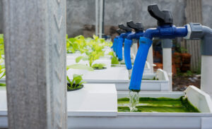 The Ultimate Guide To Nutrient Dosing Systems | Atlas Scientific