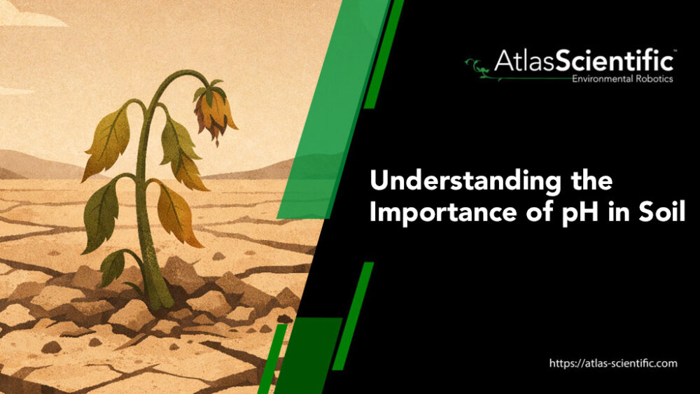 Understanding the Importance of pH in Soil | Atlas Scientific