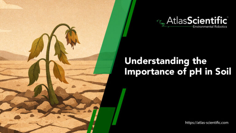 Understanding the Importance of pH in Soil | Atlas Scientific
