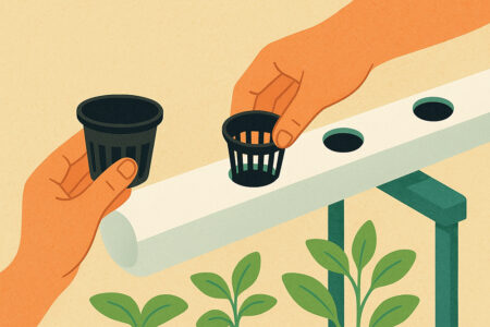 How to Build a Nutrient Film Technique (NFT) System in Hydroponics ...