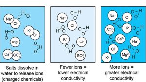 What Is A Conductivity Test And Why Is It Important? | Atlas Scientific