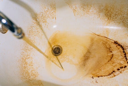 Understanding Iron Bacteria In Water And How To Eliminate It | Atlas ...