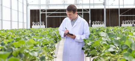 The Importance Of Laboratory Temperature Monitoring Systems | Atlas ...