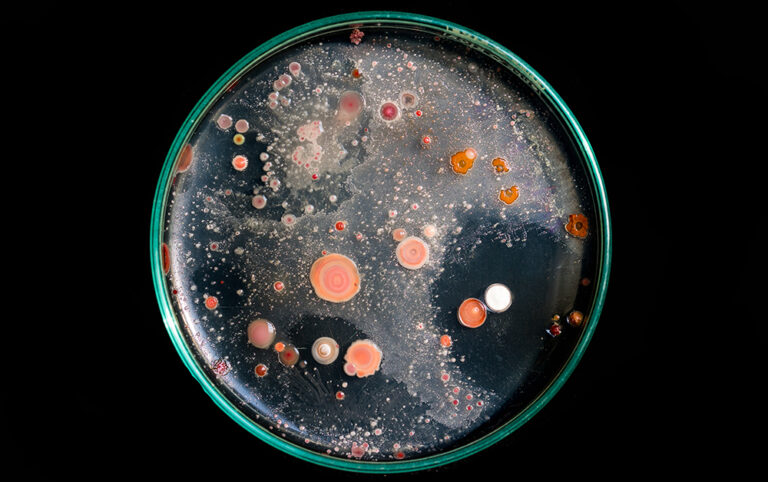 How To Test The pH Of Skin Care Products | Atlas Scientific