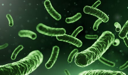How To Reduce BOD In Wastewater | Atlas Scientific