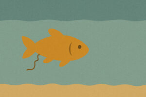 How To Detect And Reduce Ammonia Levels Inside A Fish Tank | Atlas ...