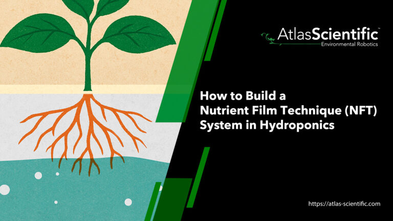 How to Build a Nutrient Film Technique (NFT) System in Hydroponics ...