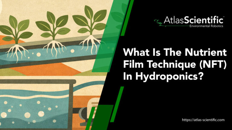 What Is The Nutrient Film Technique (NFT) In Hydroponics? | Atlas ...