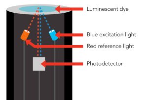 The Role Of Dissolved Oxygen Probes In Bioreactors | Atlas Scientific